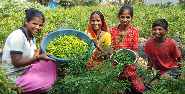 Charitable foundation in India - Yes Foundation